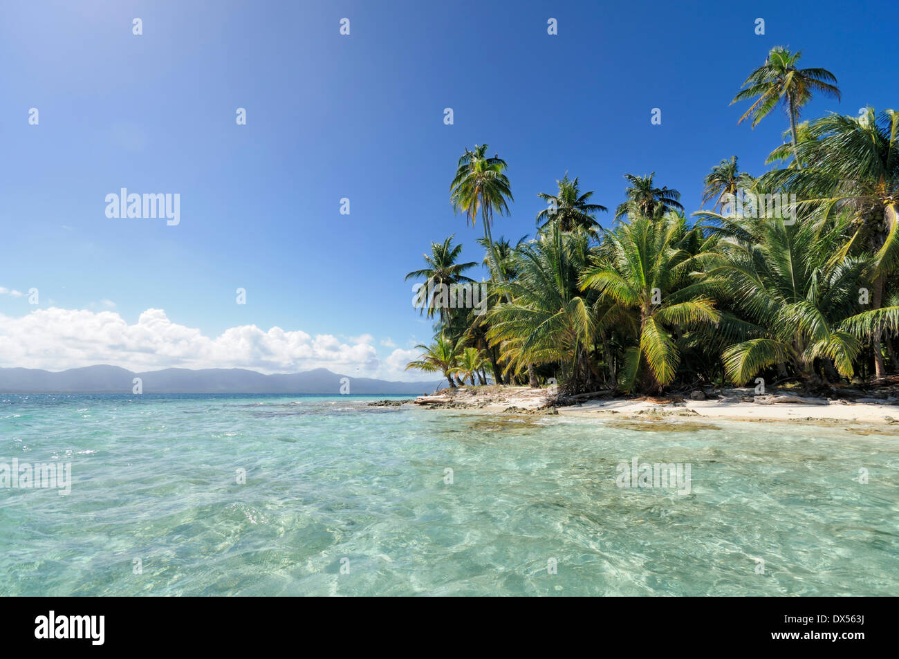 Tropische Insel, Strand mit Palmen, Cayos Los Grullos, San Blas Inseln ...