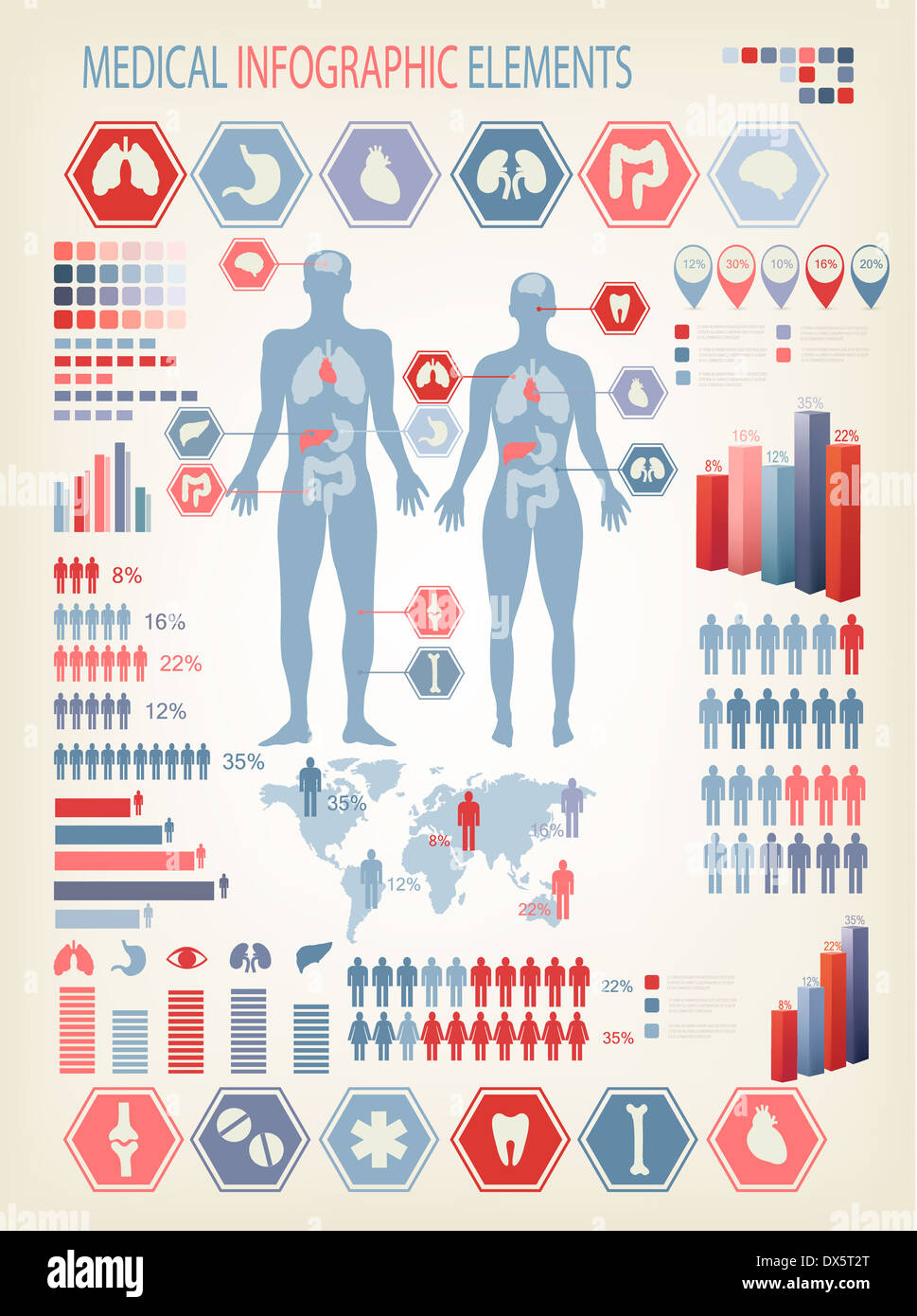 Medizinische Infografiken Elemente. Menschlichen Körper mit inneren ...