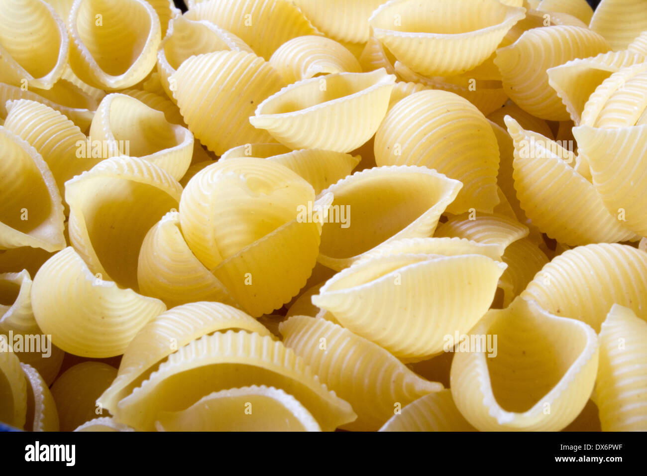 Pasta shell -Fotos und -Bildmaterial in hoher Auflösung – Alamy