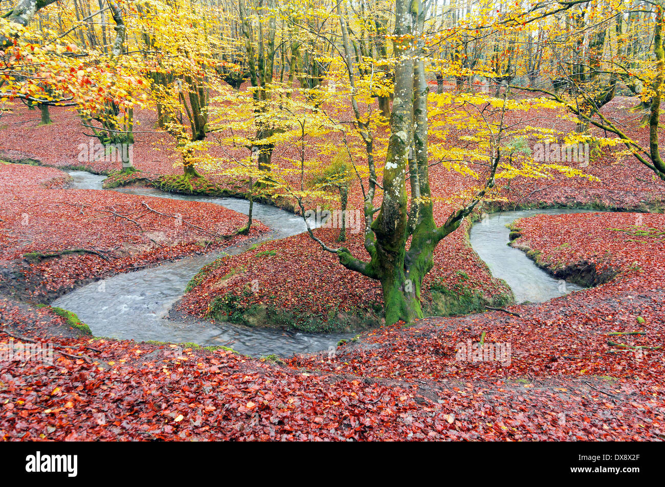 Fluss mäander -Fotos und -Bildmaterial in hoher Auflösung – Alamy