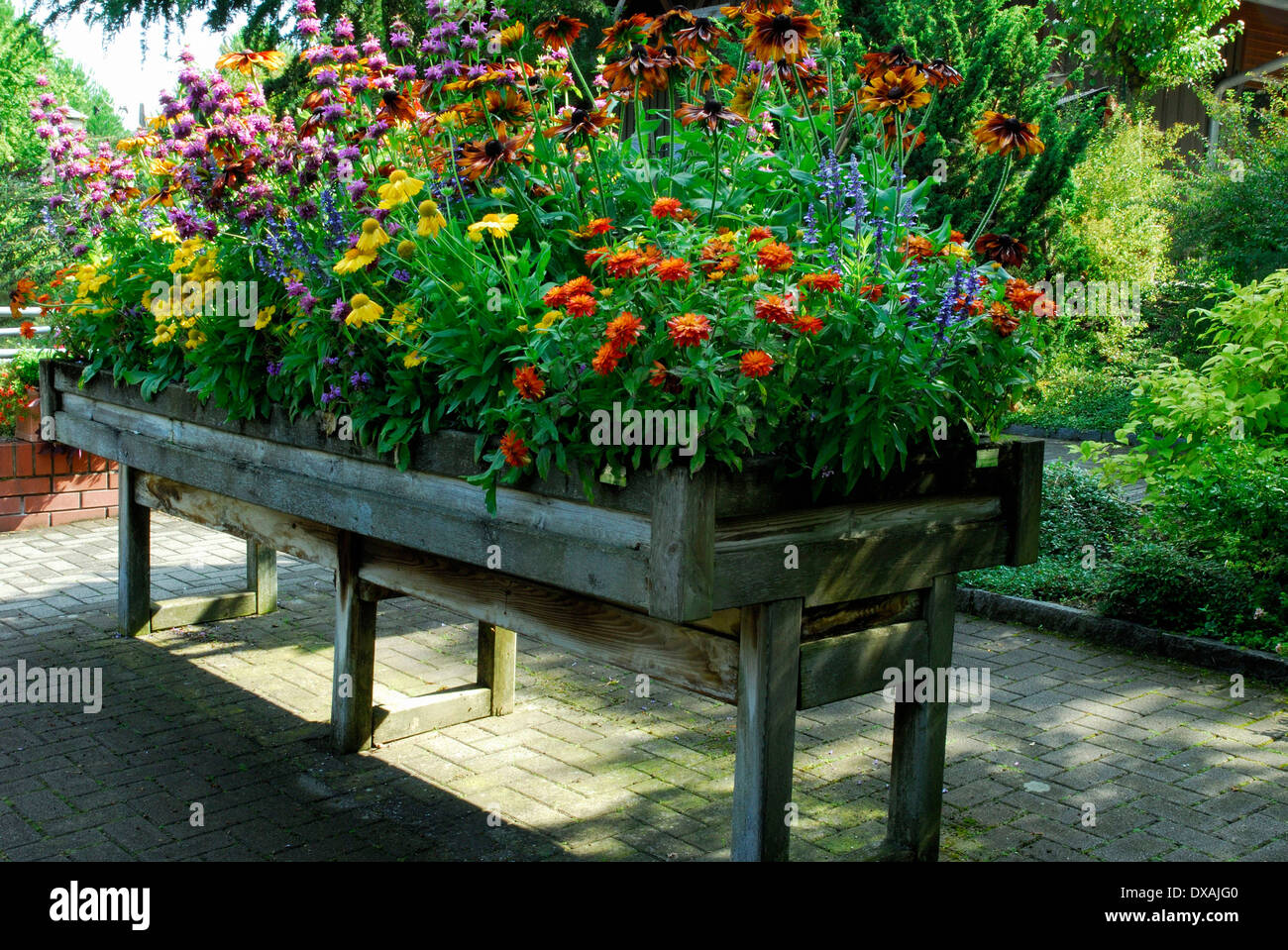 Raised bed garden -Fotos und -Bildmaterial in hoher Auflösung – Alamy