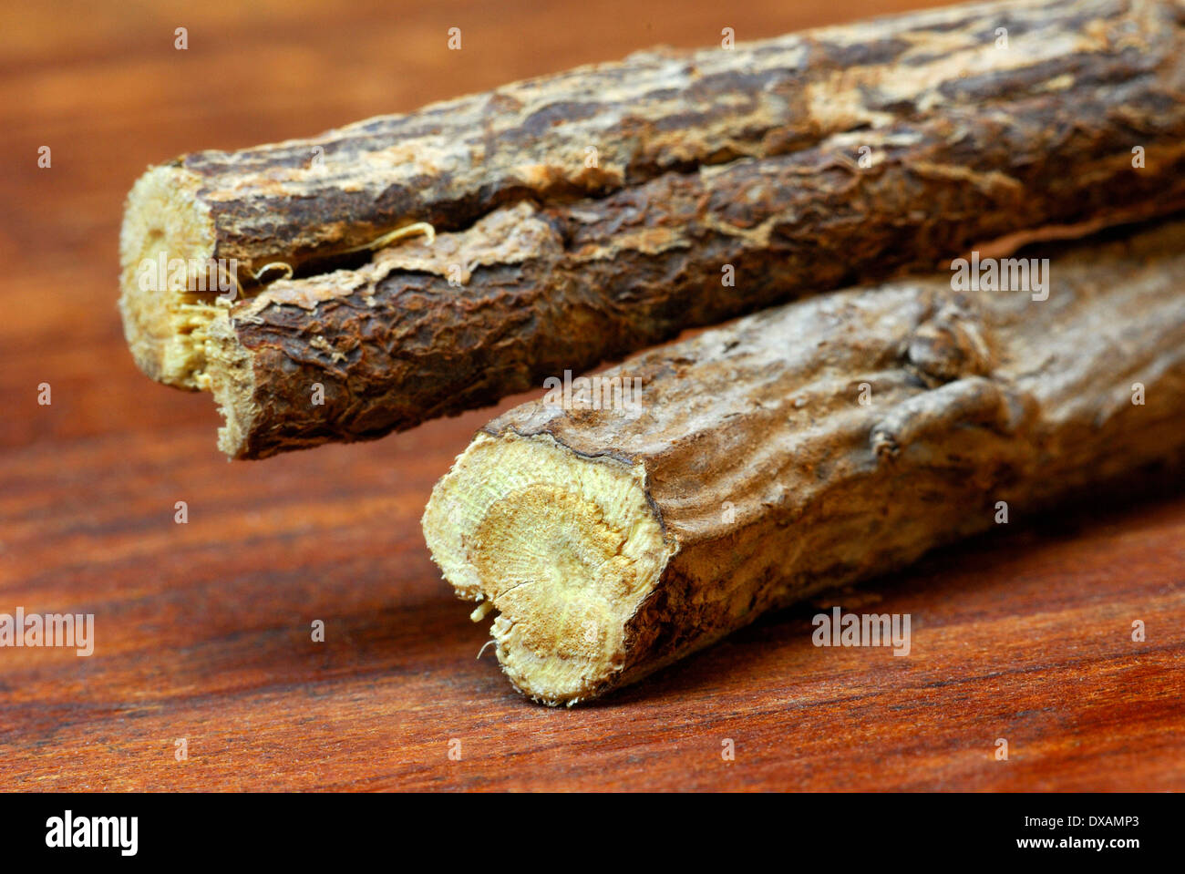 Lakritz glycyrrhiza glabra -Fotos und -Bildmaterial in hoher Auflösung ...