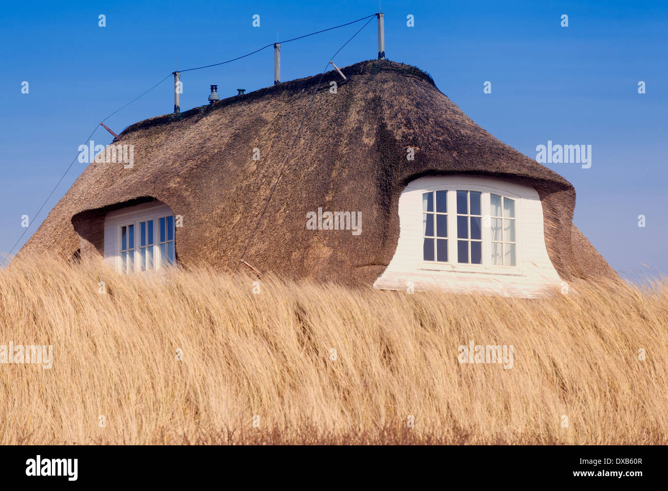 Haus mit Reetdach in Hörnum auf der Insel Sylt, Deutschland ...