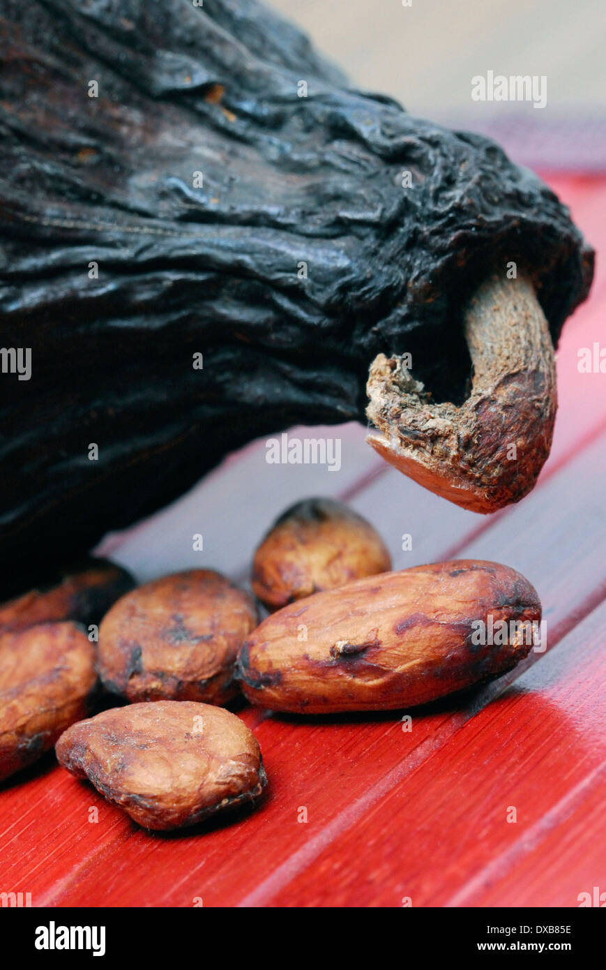 Kakaosamen in der kakaofrucht -Fotos und -Bildmaterial in hoher ...