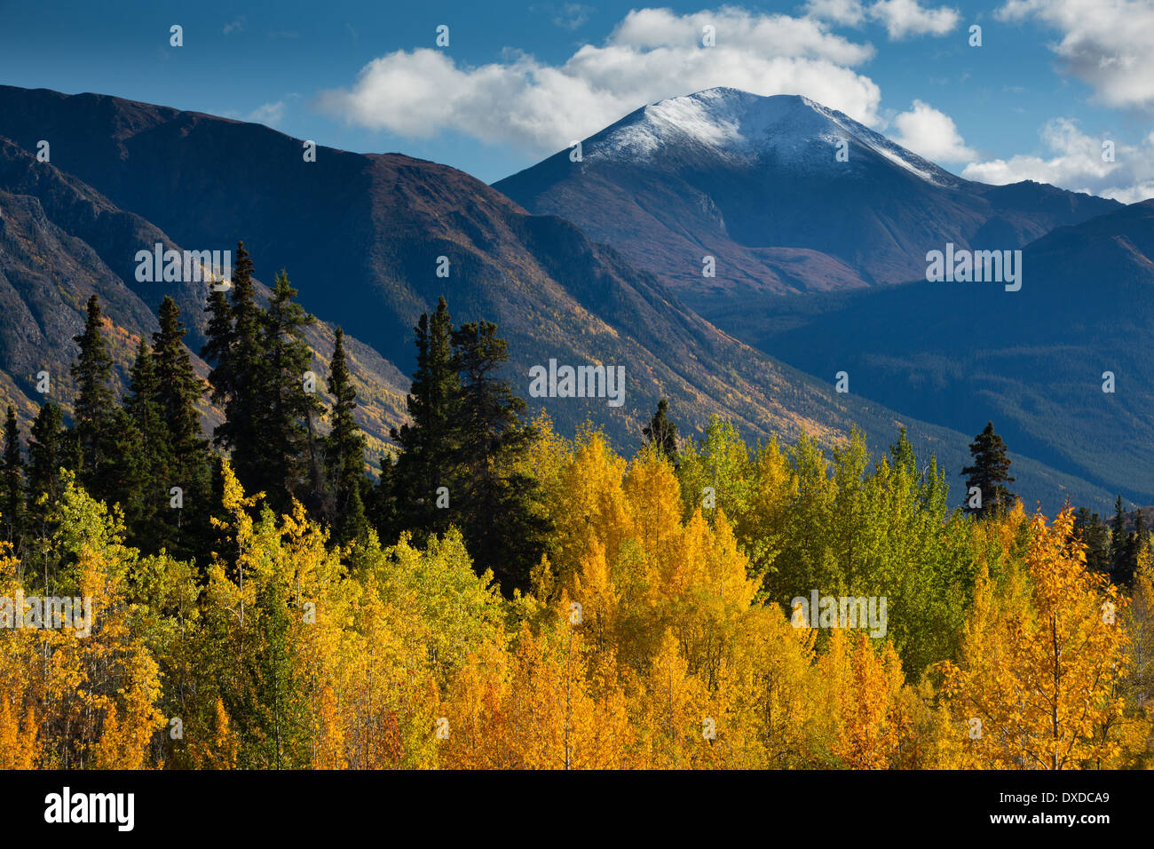 South klondike highway -Fotos und -Bildmaterial in hoher Auflösung – Alamy