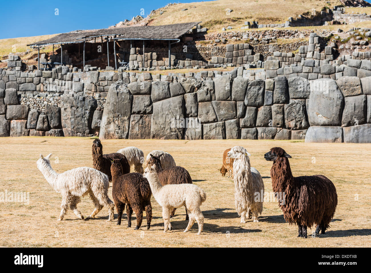 Peru cuzco sacsayhuaman -Fotos und -Bildmaterial in hoher Auflösung – Alamy