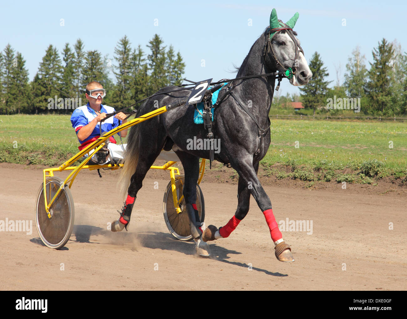 Racing trot -Fotos und -Bildmaterial in hoher Auflösung – Alamy