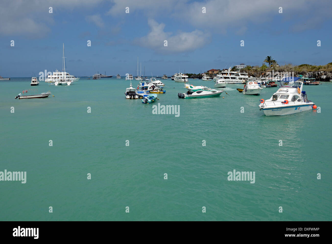 Boote und Kreuzfahrt-Schiffe, Hafen, Insel Santa Cruz, Puerto Ayora ...