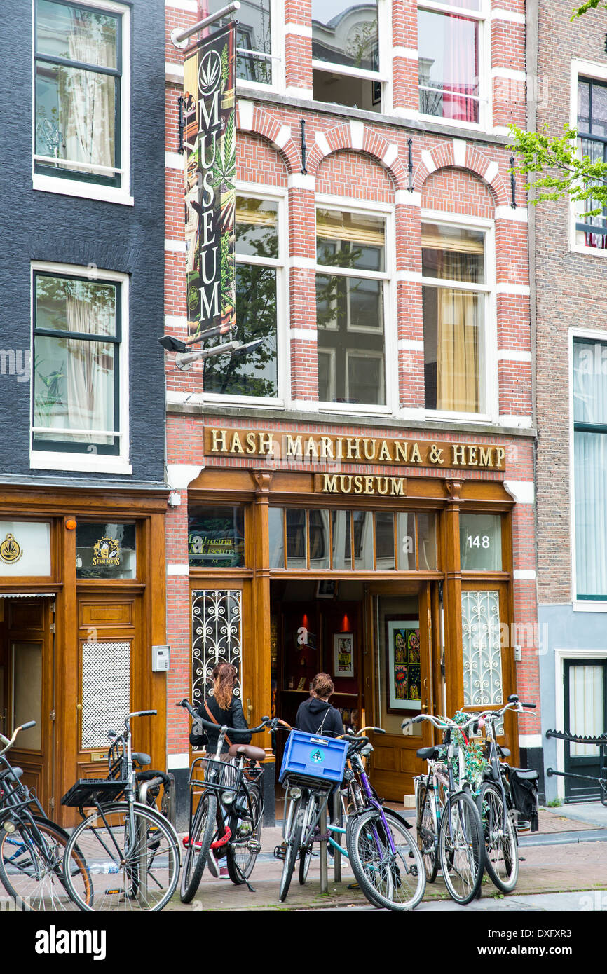 Hasch hanf -Fotos und -Bildmaterial in hoher Auflösung – Alamy