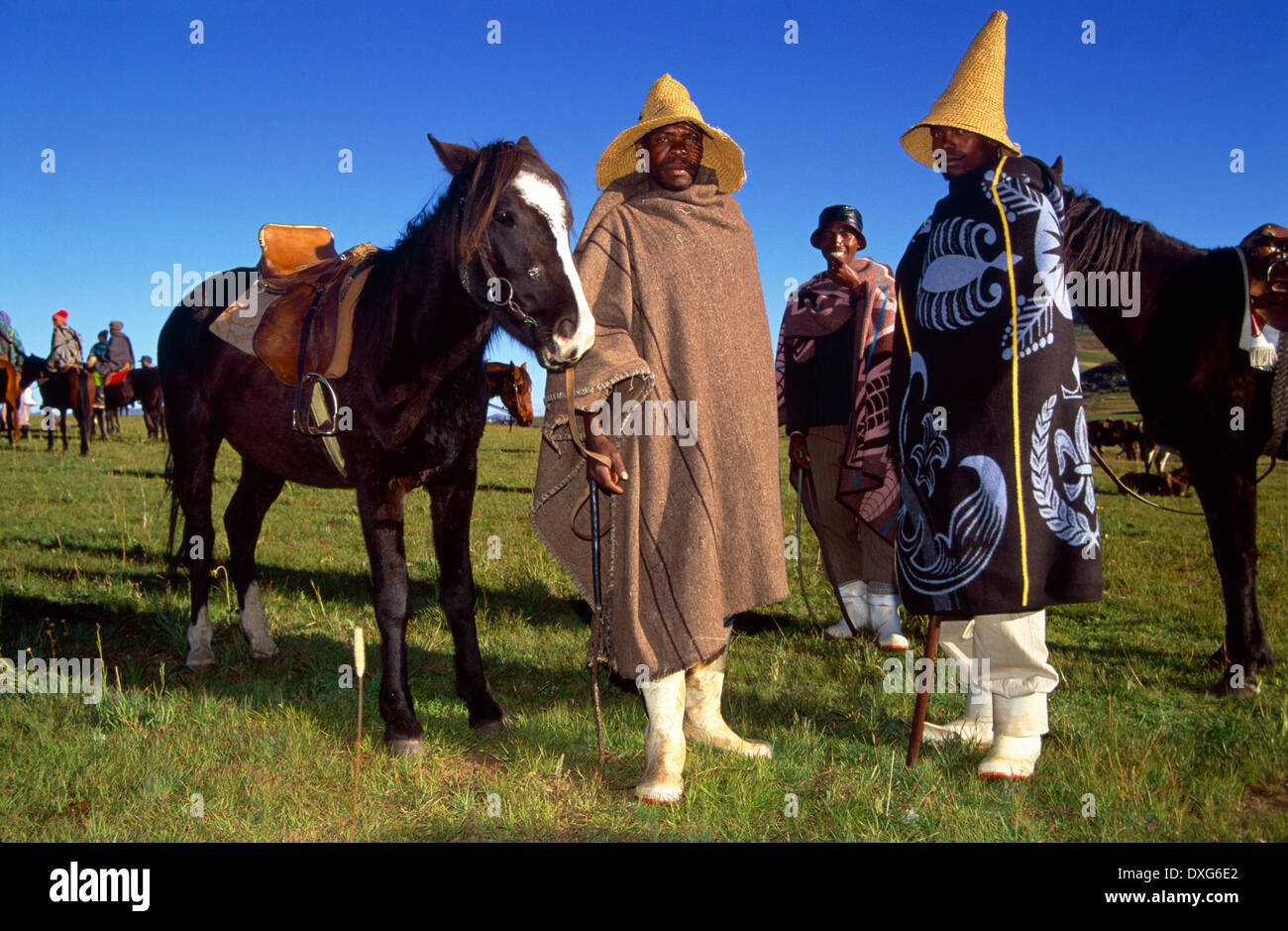 Basotho pony -Fotos und -Bildmaterial in hoher Auflösung – Alamy