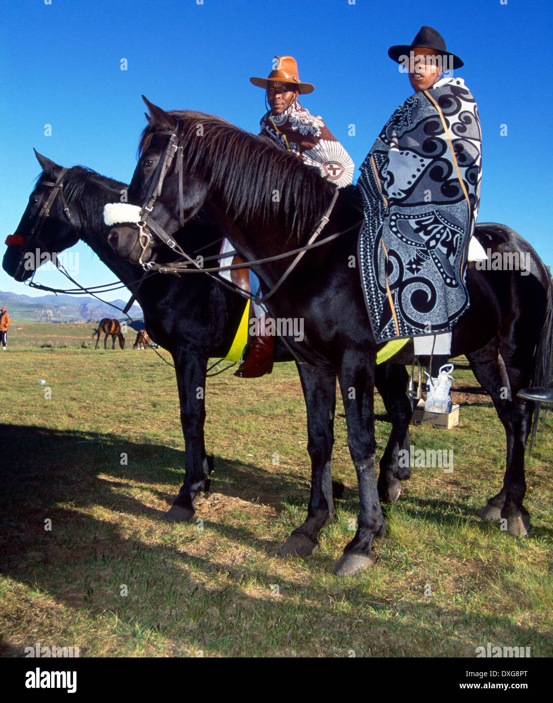 Basotho pony -Fotos und -Bildmaterial in hoher Auflösung – Alamy