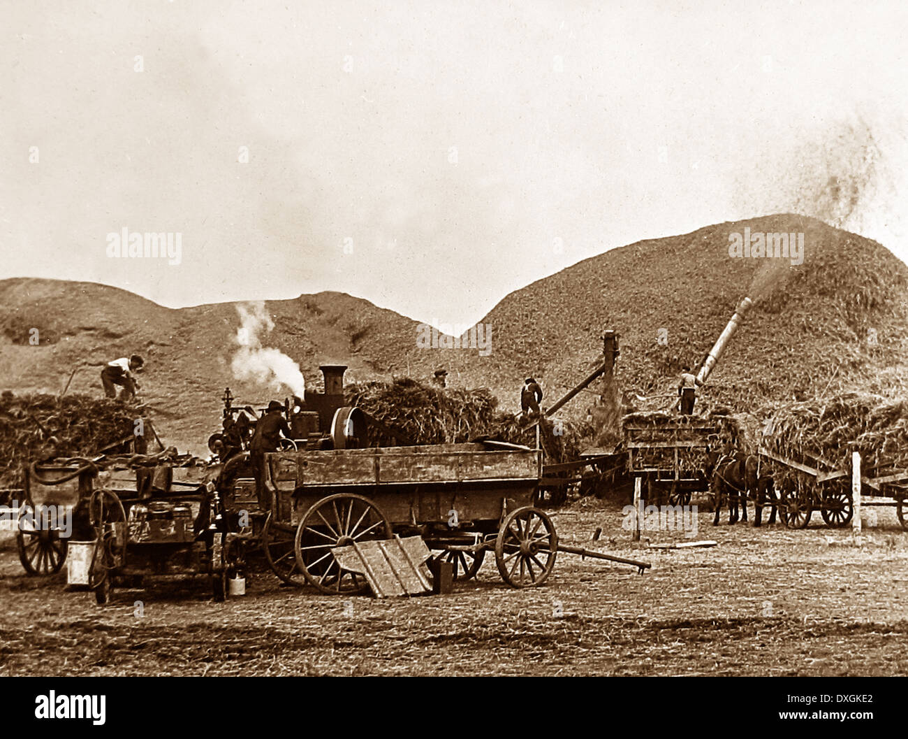 Dreschende bauern Stockfotos und -bilder Kaufen - Alamy