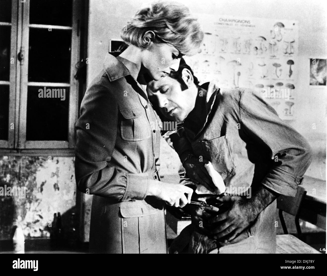 Le boucher -Fotos und -Bildmaterial in hoher Auflösung – Alamy