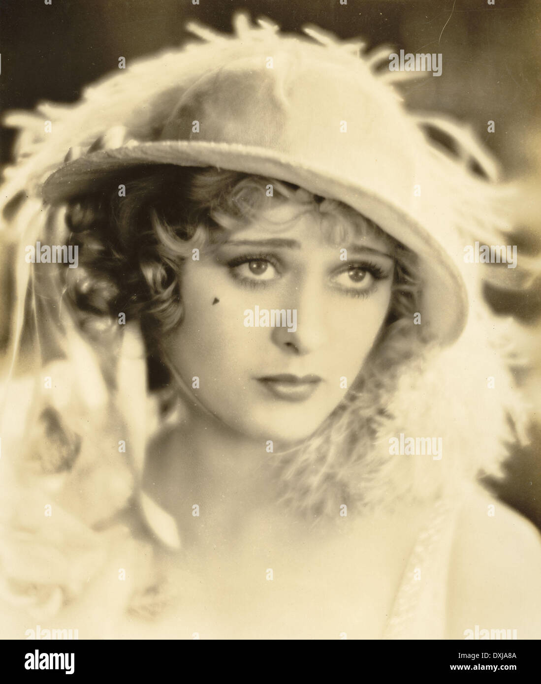 Noah arche -Fotos und -Bildmaterial in hoher Auflösung – Alamy