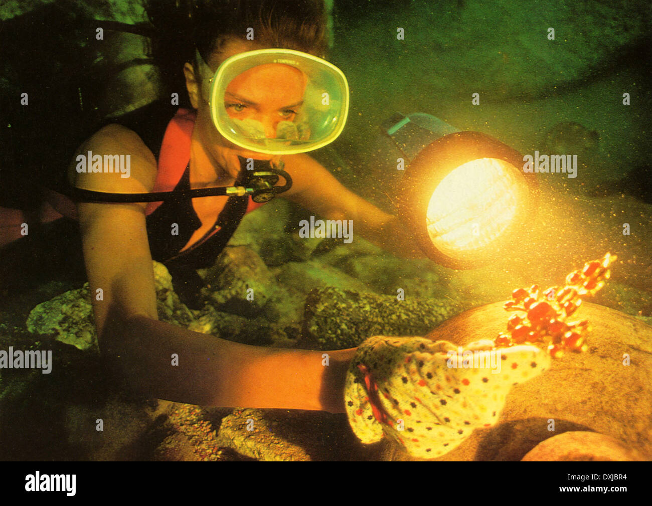 Der tiefe 1977 jacqueline bisset -Fotos und -Bildmaterial in hoher ...