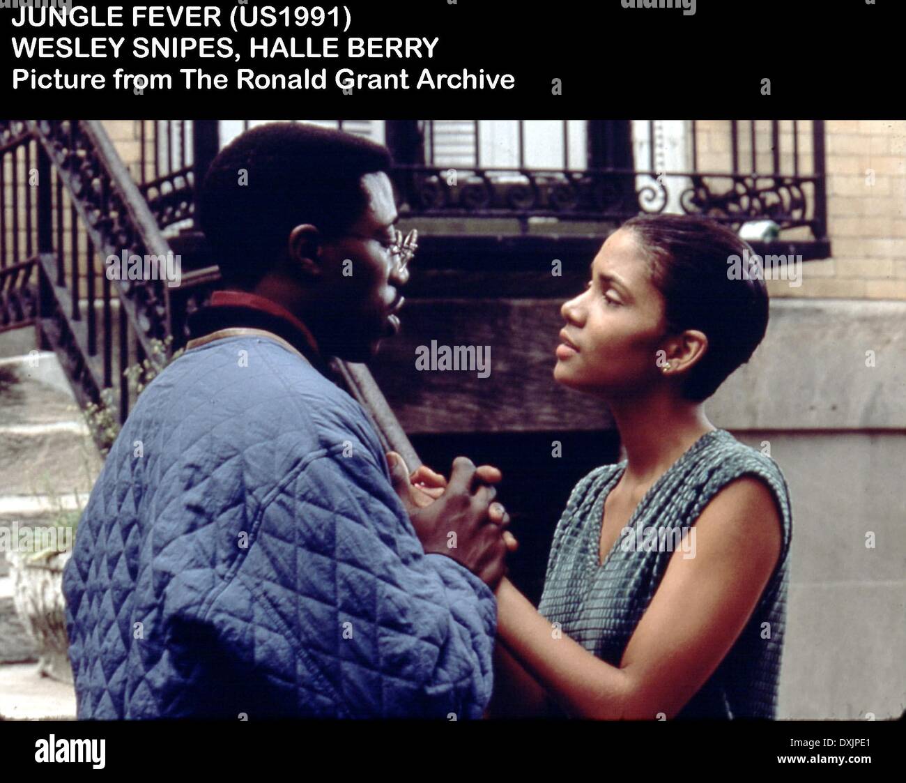 Jungle fever -Fotos und -Bildmaterial in hoher Auflösung – Alamy