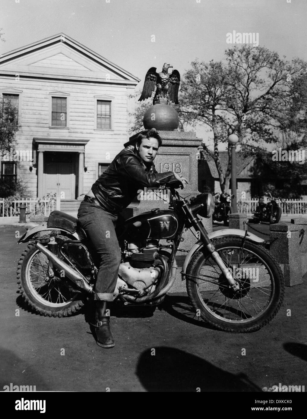 The wild one -Fotos und -Bildmaterial in hoher Auflösung – Alamy