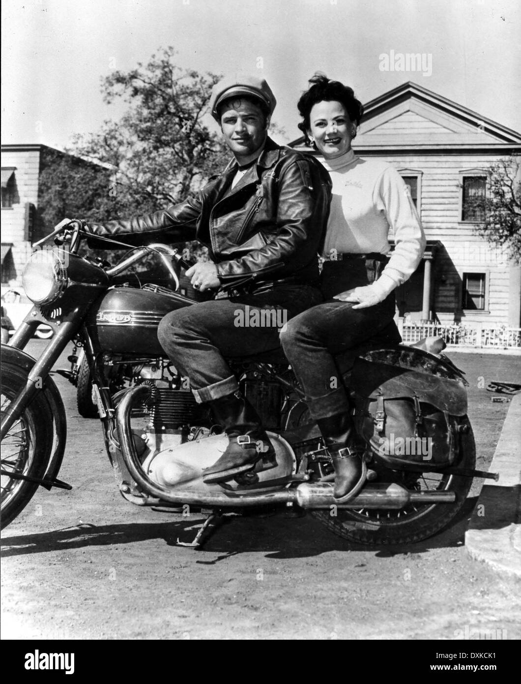 The wild one -Fotos und -Bildmaterial in hoher Auflösung – Alamy