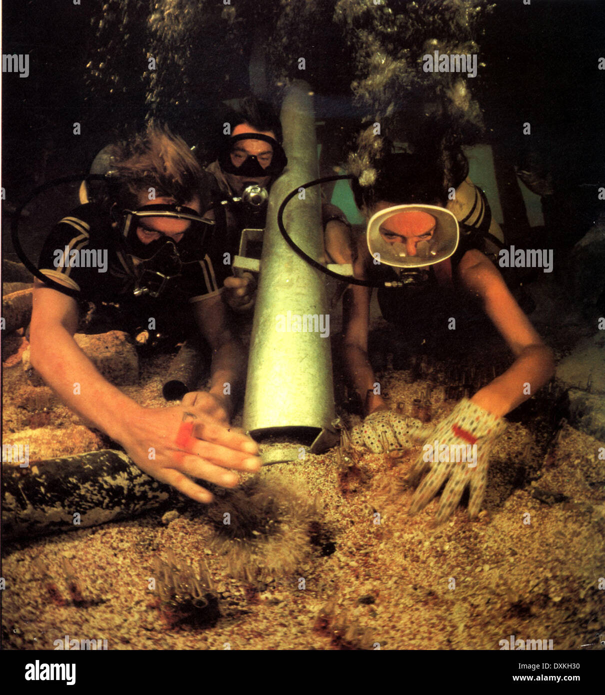 The deep 1977 jacqueline bisset -Fotos und -Bildmaterial in hoher ...