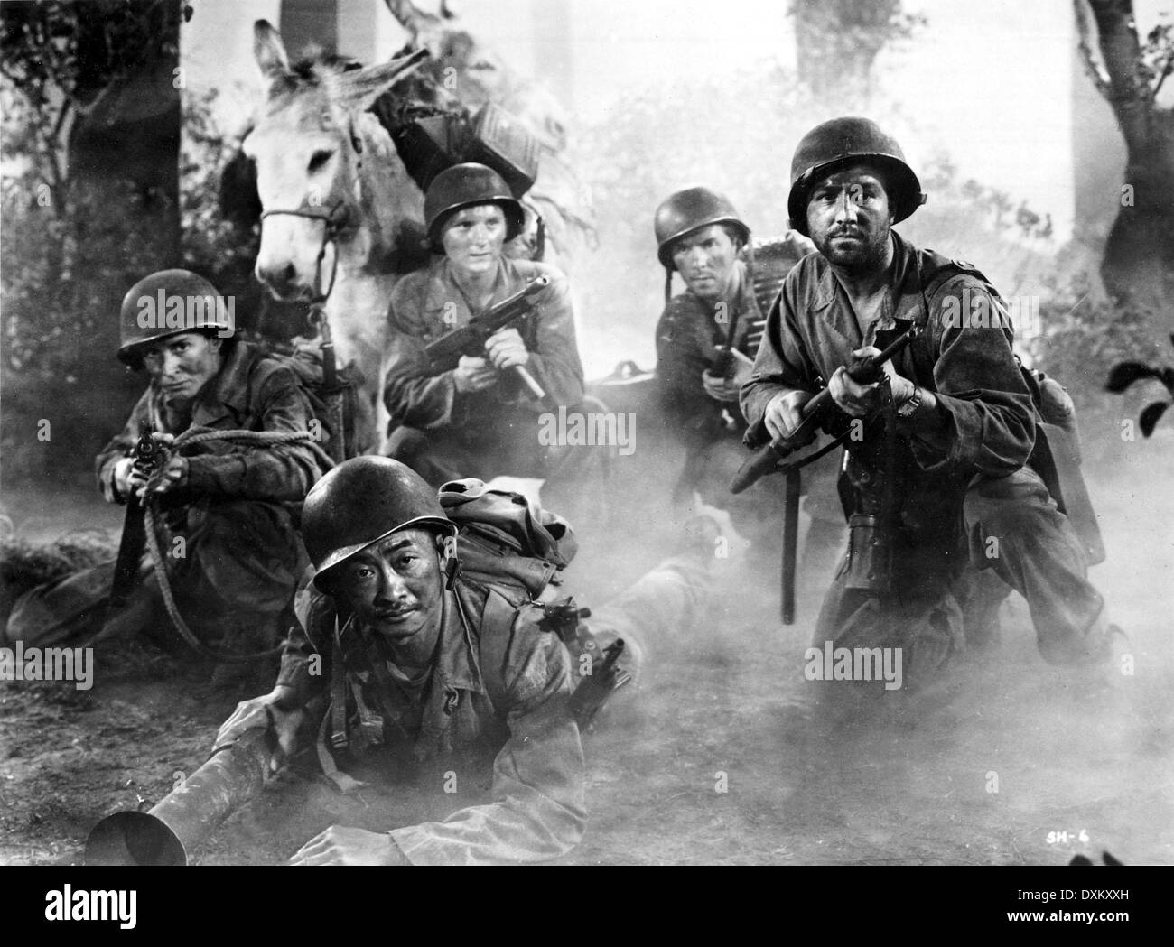Stahlhelm steel helmet -Fotos und -Bildmaterial in hoher Auflösung ...