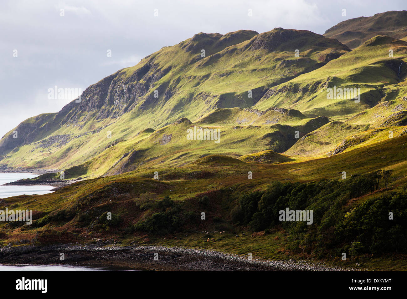 Kilchoan bucht -Fotos und -Bildmaterial in hoher Auflösung – Alamy