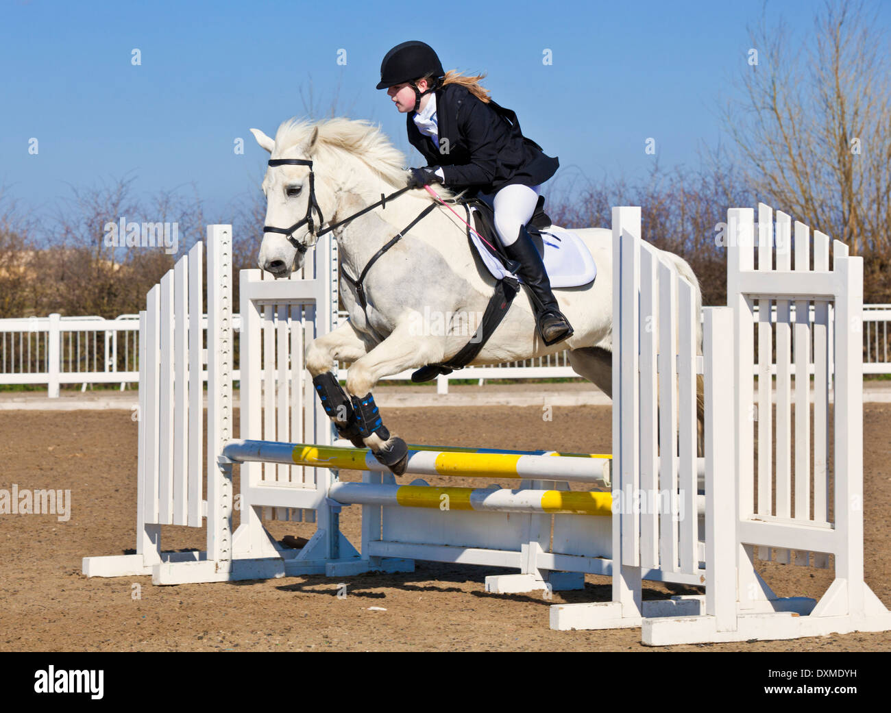 Pony jumping -Fotos und -Bildmaterial in hoher Auflösung – Alamy
