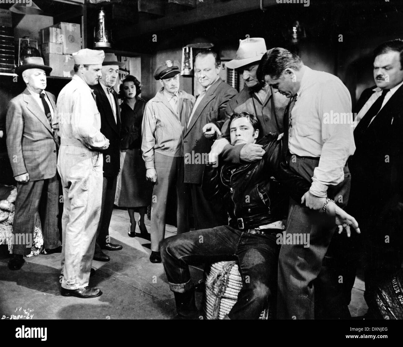 Wild one 1953 -Fotos und -Bildmaterial in hoher Auflösung – Alamy