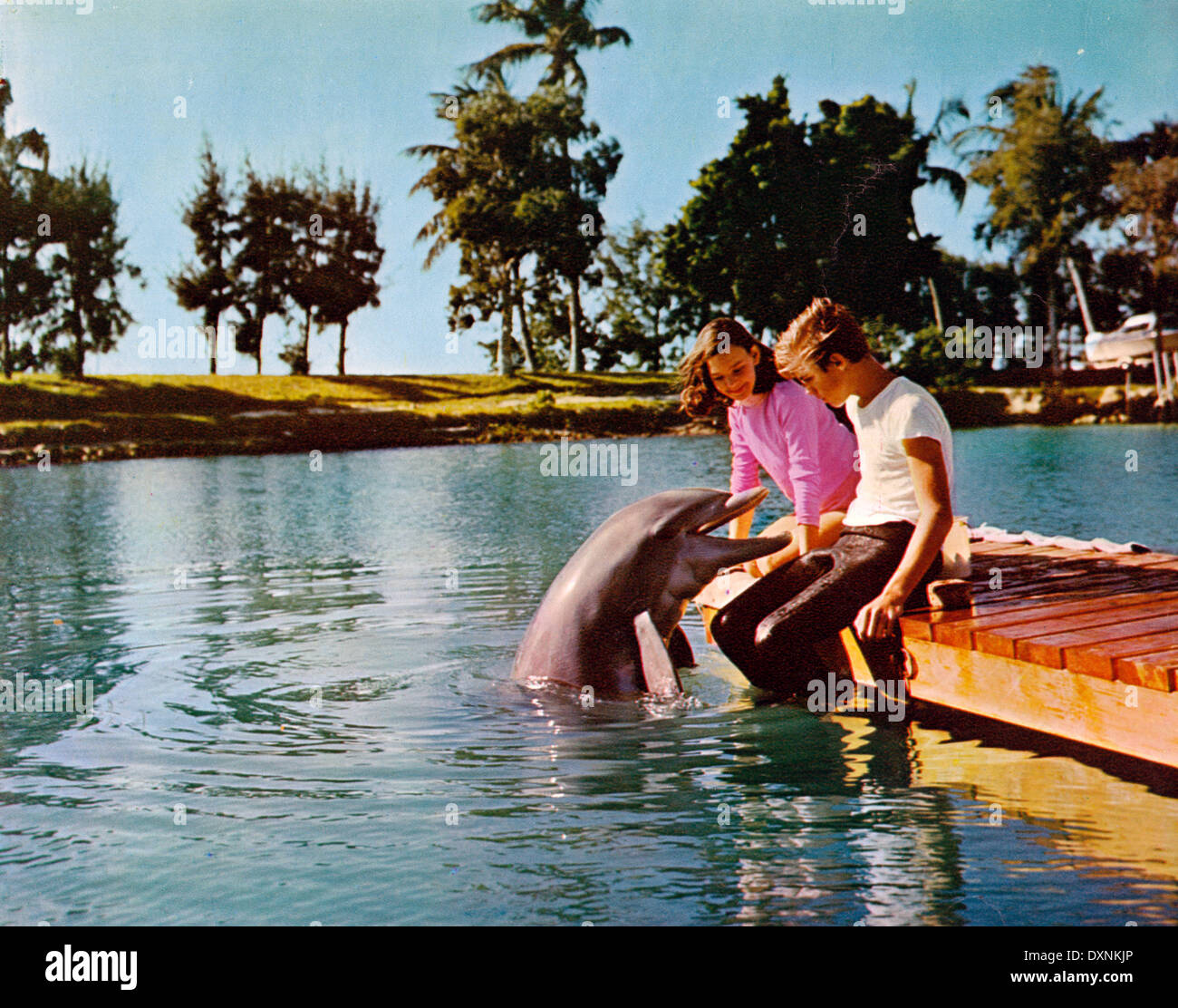 Flipper movie -Fotos und -Bildmaterial in hoher Auflösung - Seite 2 - Alamy
