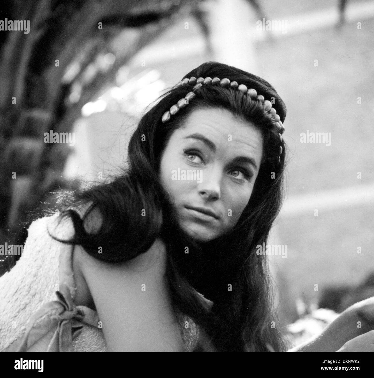 Shirley f -Fotos und -Bildmaterial in hoher Auflösung – Alamy