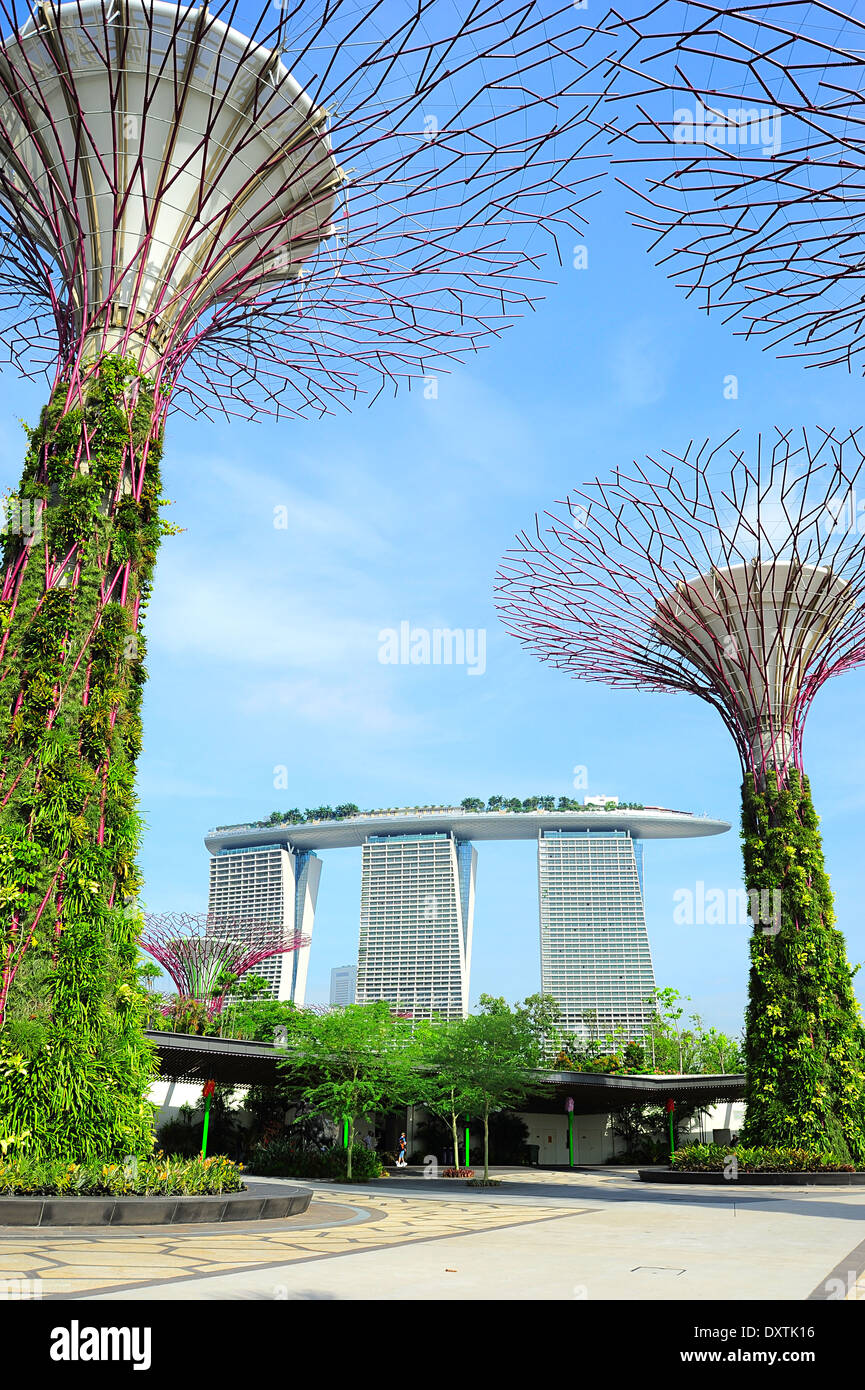 Gardens by the bay marina bay sands -Fotos und -Bildmaterial in hoher Auflösung – Alamy