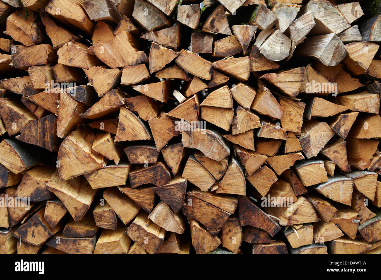Pfahlbau schweiz -Fotos und -Bildmaterial in hoher Auflösung – Alamy