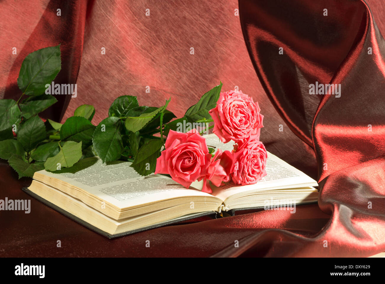 Book rose -Fotos und -Bildmaterial in hoher Auflösung - Seite 2 - Alamy