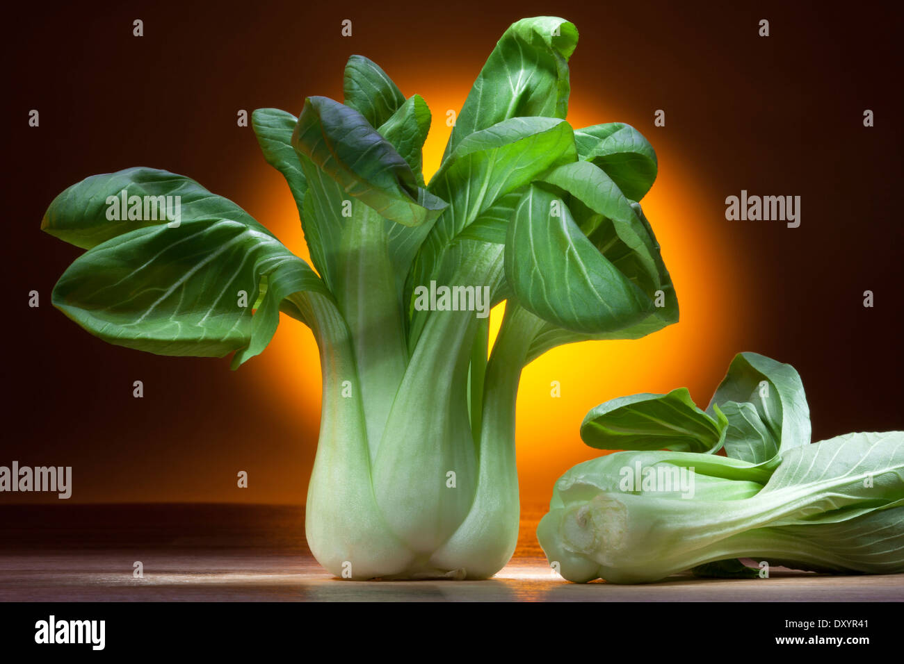 Bok Choy, Pak Chol oder Pak Choi ist ein Chinakohl einer Vielzahl mit ...