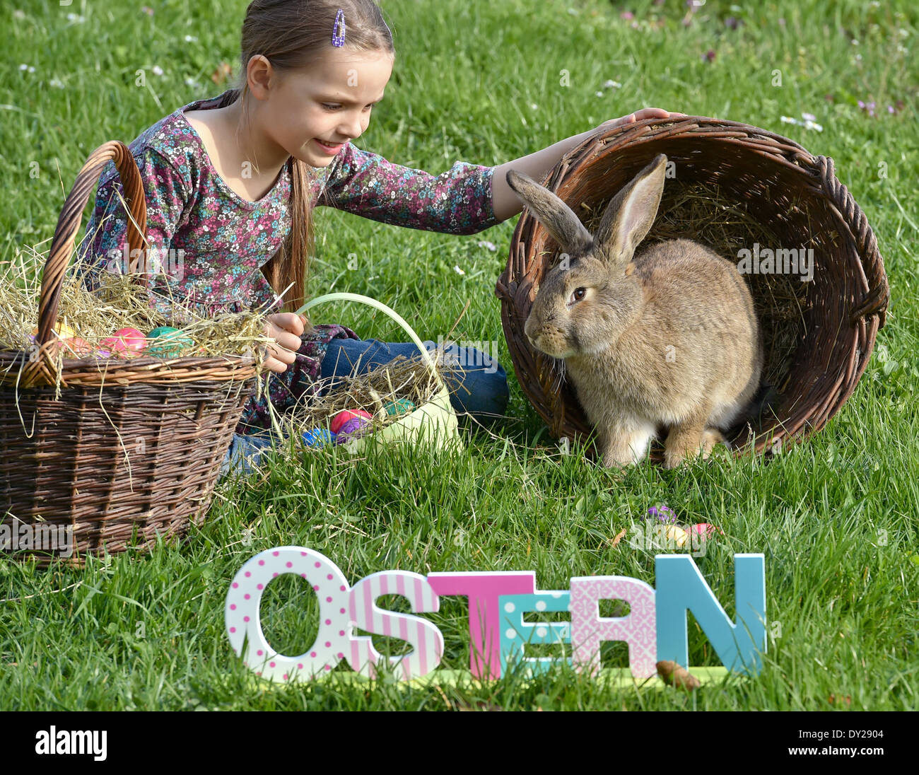 Die abbildung zeigt sechs eier -Fotos und -Bildmaterial in hoher ...