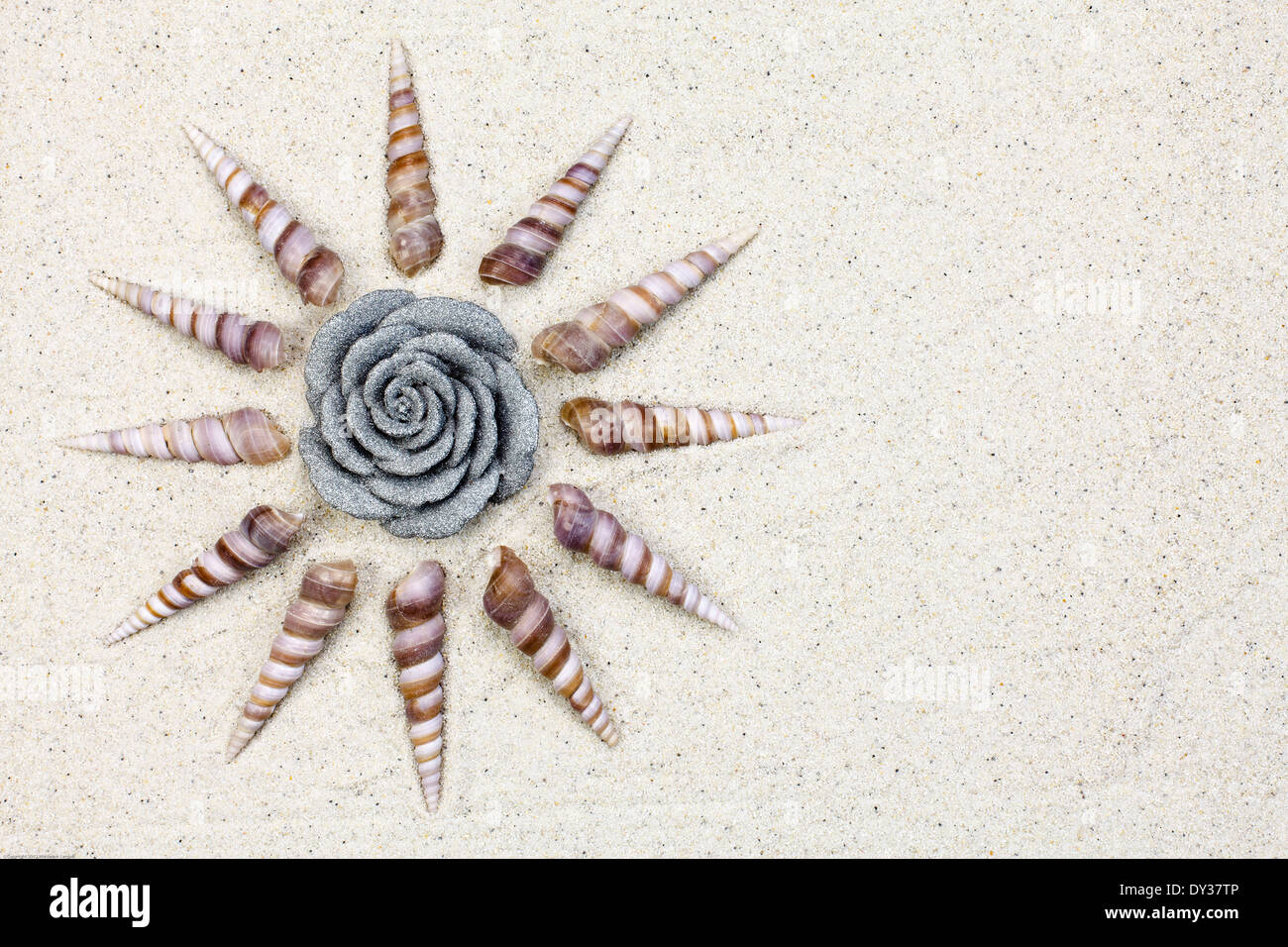 Muscheln und sand -Fotos und -Bildmaterial in hoher Auflösung – Alamy