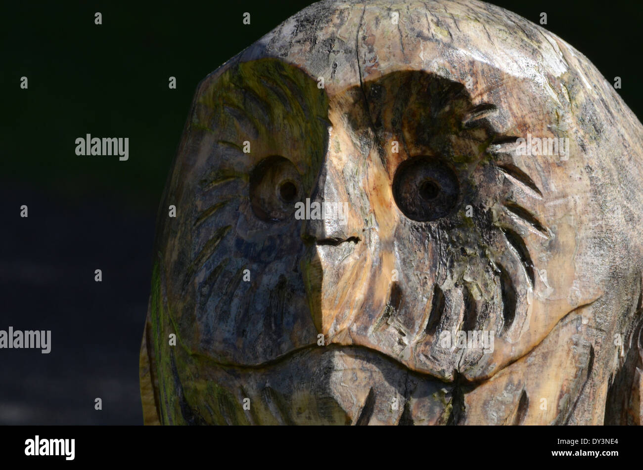 Geschnitzte hölzerne eule -Fotos und -Bildmaterial in hoher Auflösung – Alamy