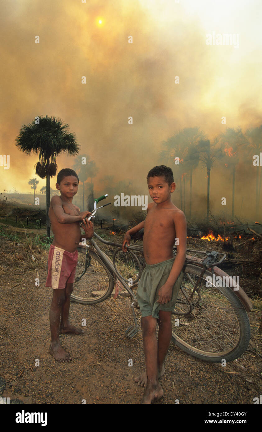 Kinder, Feuer Rauch und tropischen Regenwald, Brandrodung Anbau von ...