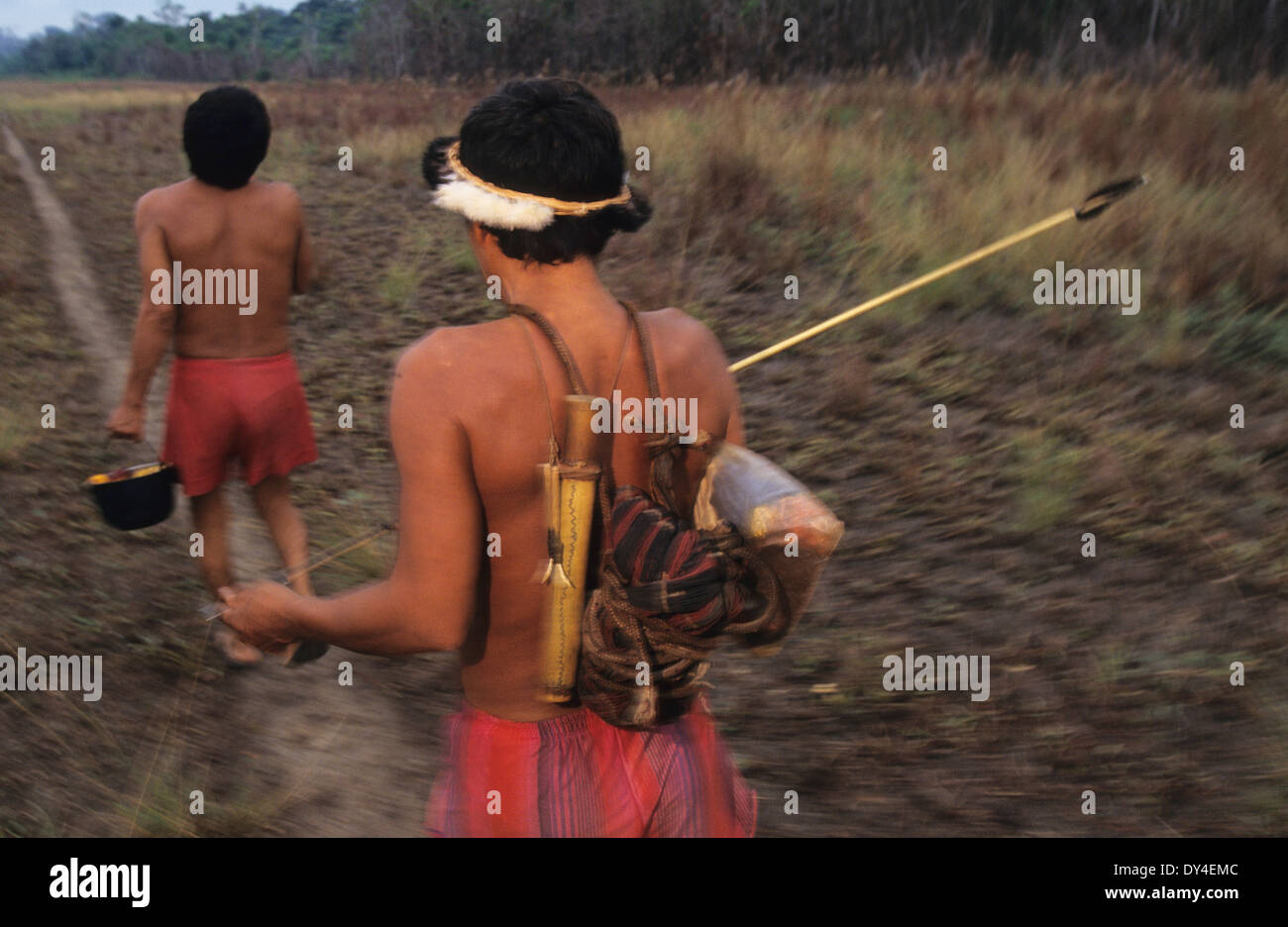 Yanomami-Indianer, Jagdreise mit Pfeil und Bogen, Roraima-Provinz, in ...