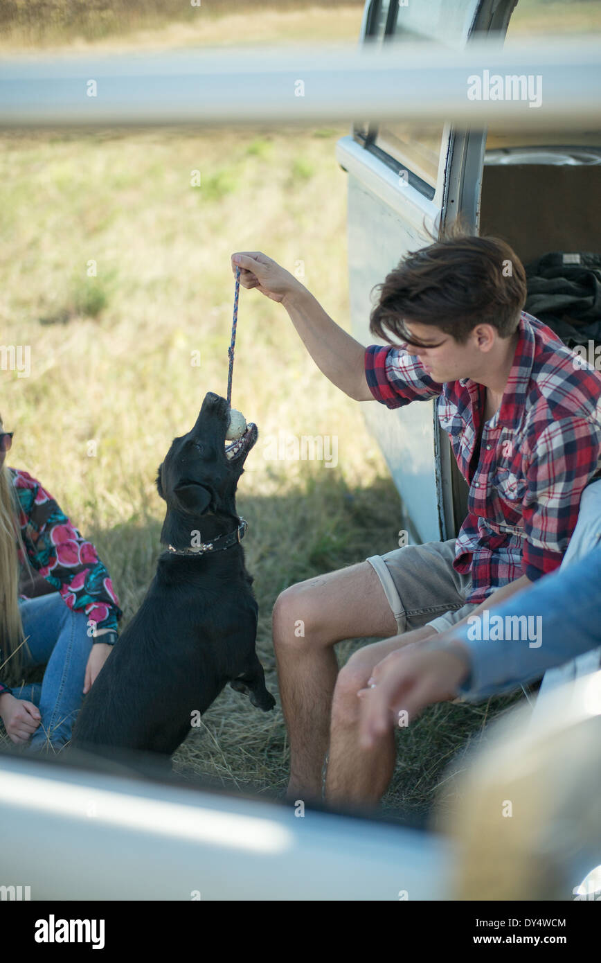 Spielen mit hund -Fotos und -Bildmaterial in hoher Auflösung – Alamy