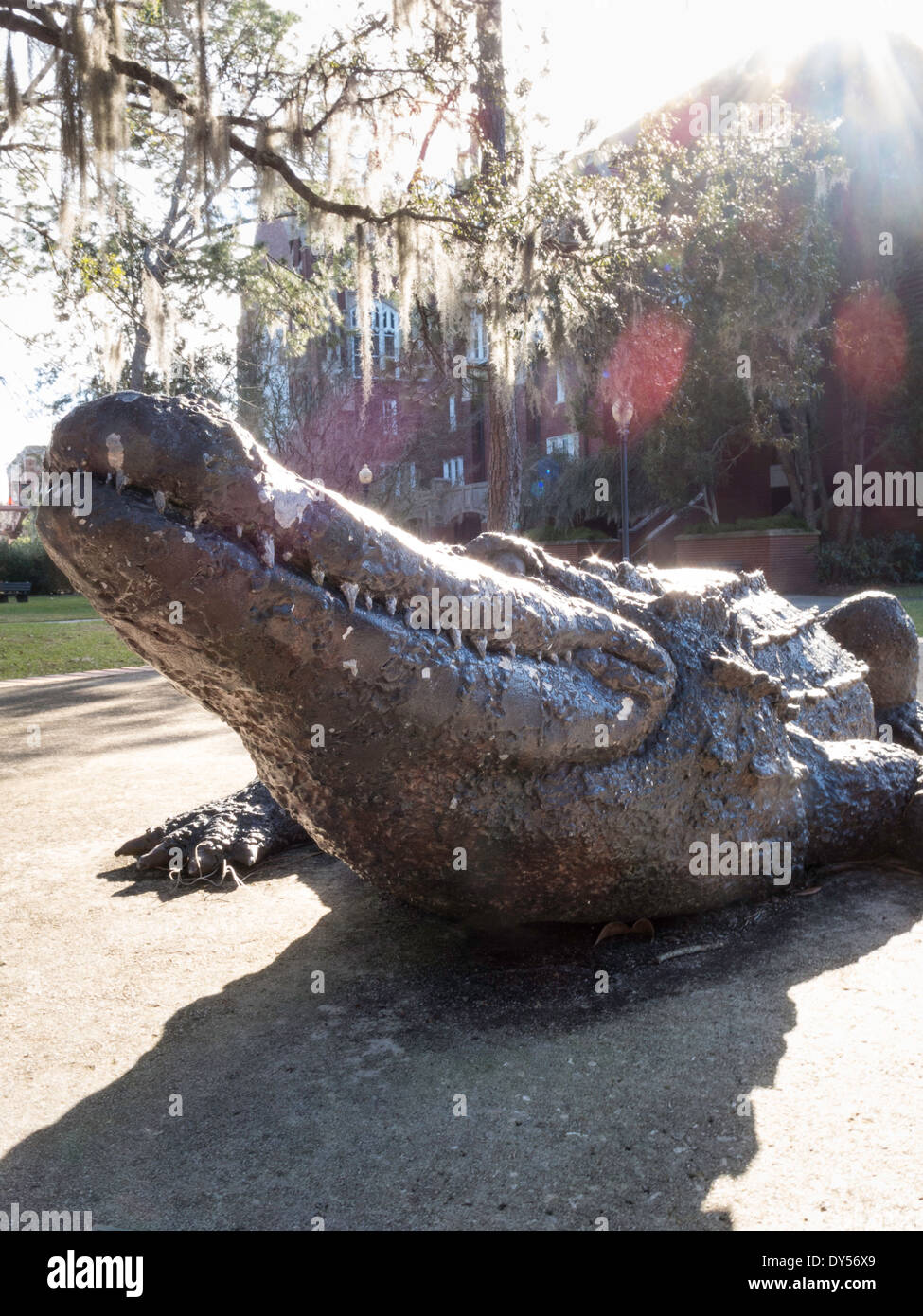 University college alligator statue -Fotos und -Bildmaterial in hoher ...