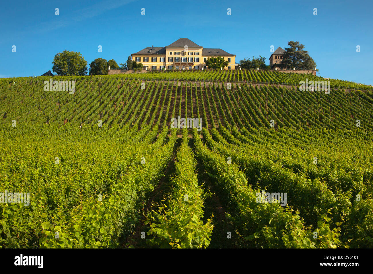 Rheingau region -Fotos und -Bildmaterial in hoher Auflösung – Alamy