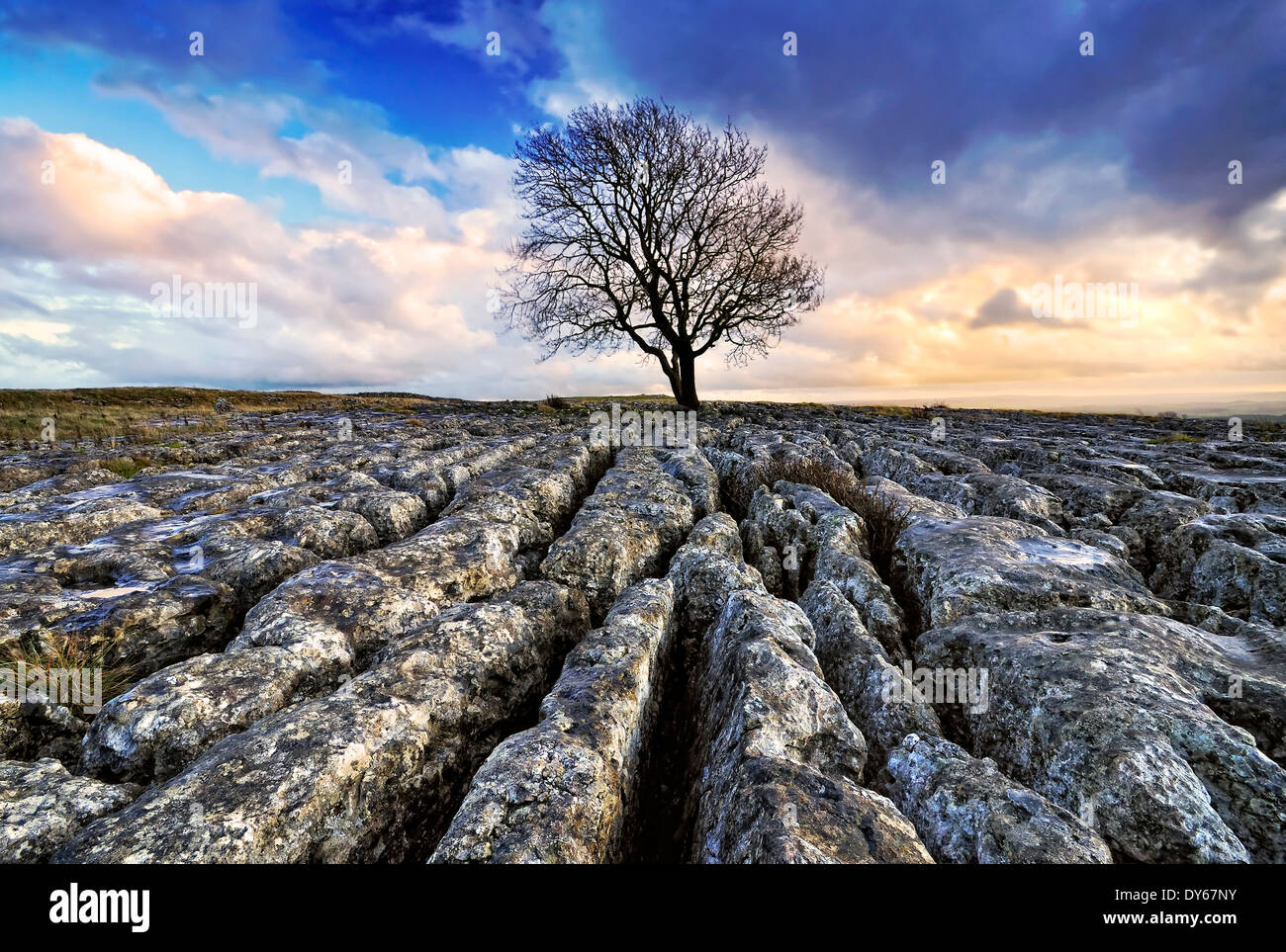 Limestone pavement -Fotos und -Bildmaterial in hoher Auflösung – Alamy