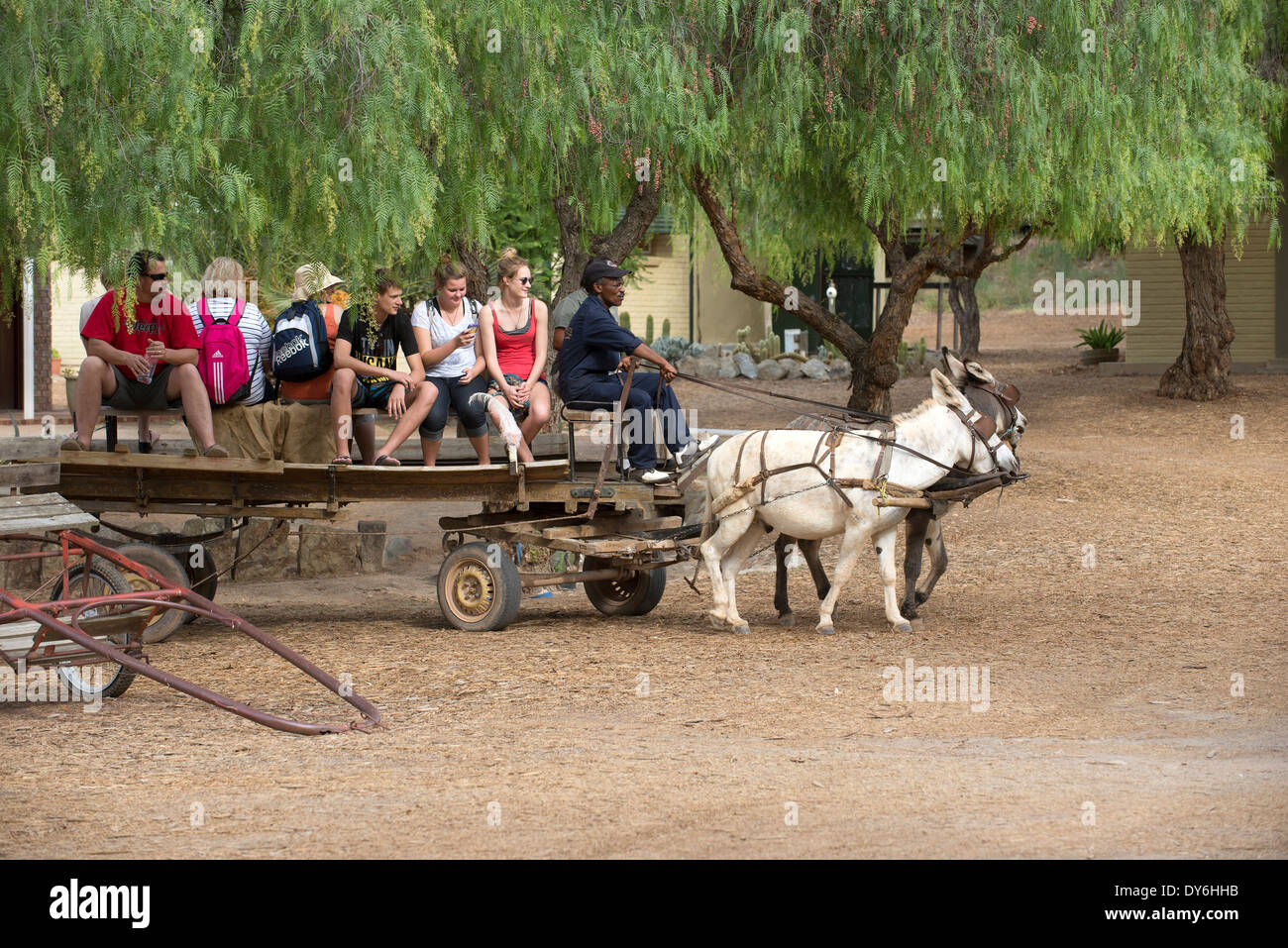 Donkey Pulling Cart Stockfotos und -bilder Kaufen - Alamy
