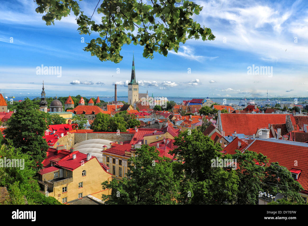 The cathedral of saint mary the virgin in tallinn -Fotos und ...