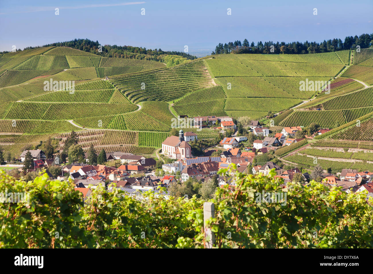 Durbach baden wurttemberg germany black -Fotos und -Bildmaterial in hoher Auflösung – Alamy