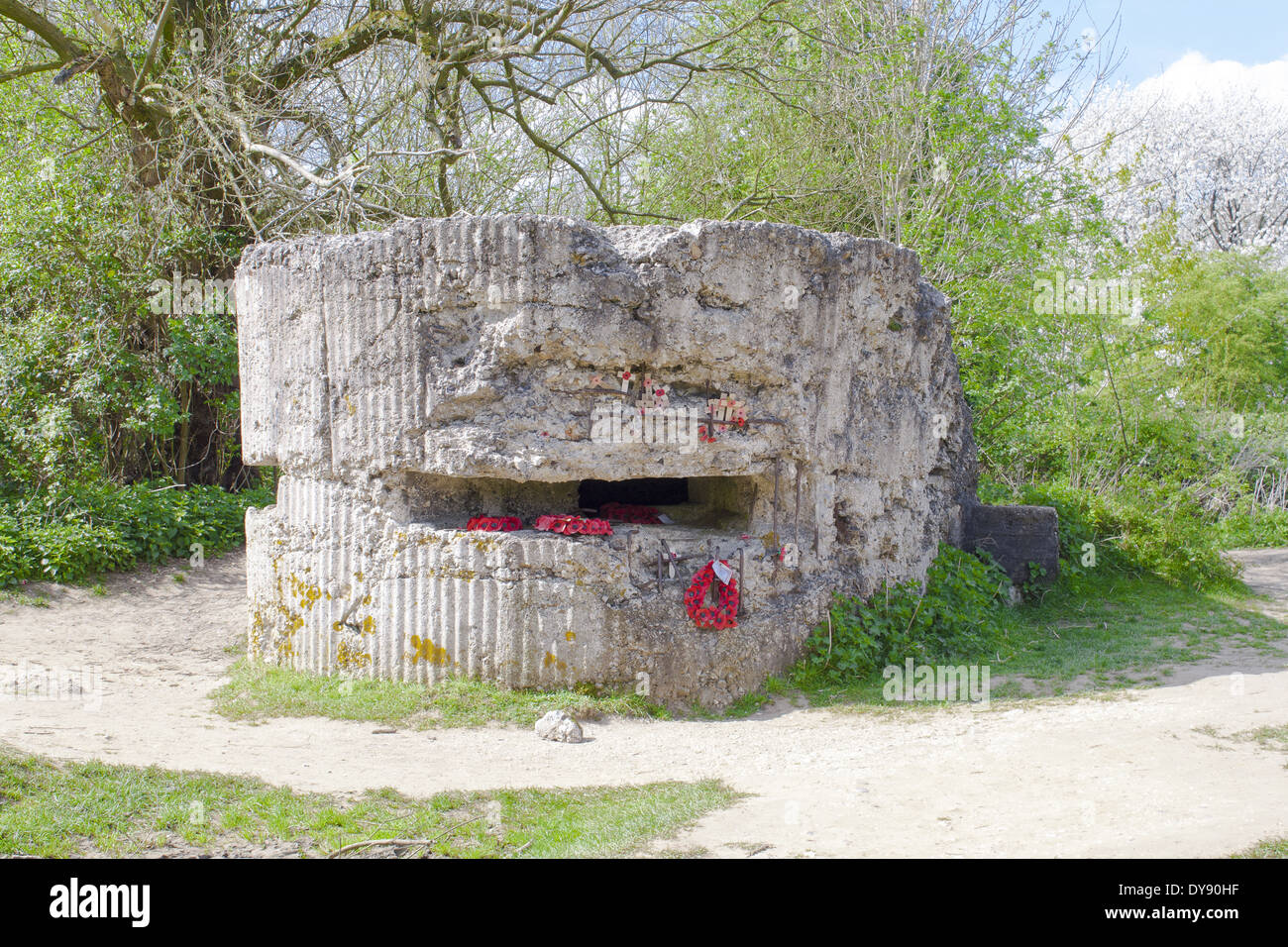 WW1 Hill 60 Bunker in der Grabenkrieg Belgien Welt Stockfotografie - Alamy