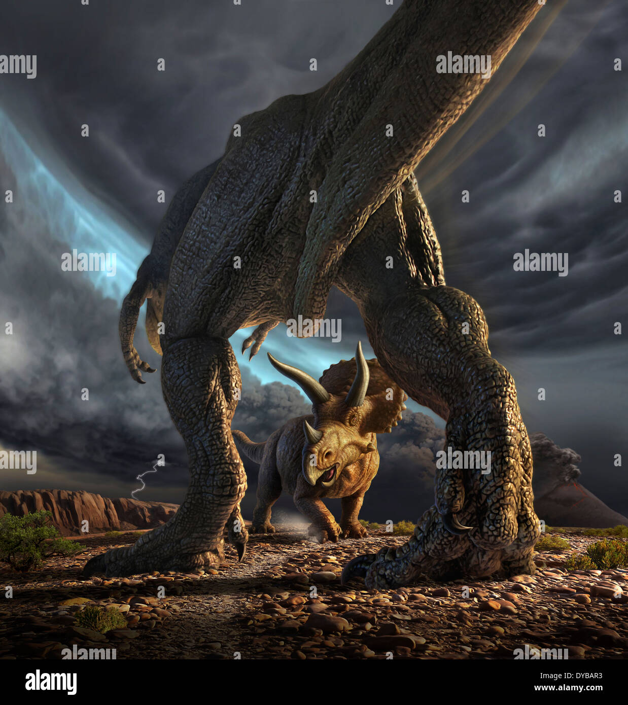 Triceratops in prehistoric environment -Fotos und -Bildmaterial in ...