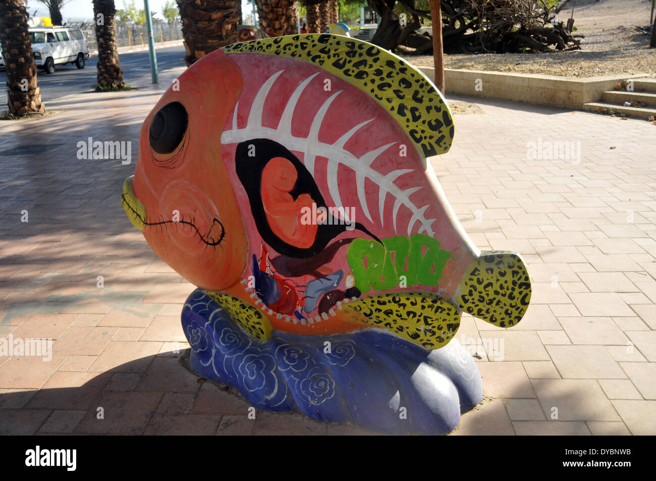 Eilat fisch -Fotos und -Bildmaterial in hoher Auflösung – Alamy