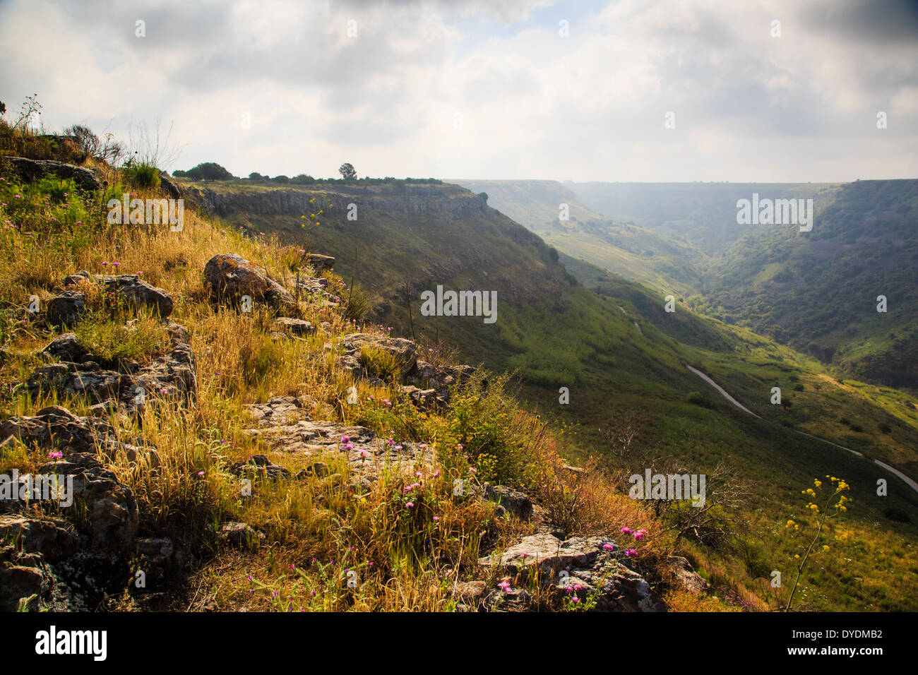 Israel natur -Fotos und -Bildmaterial in hoher Auflösung – Alamy