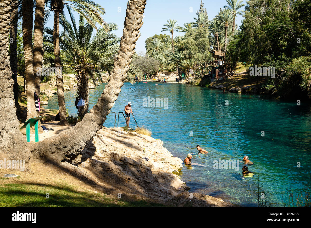 Sachne gan hashlosha national park -Fotos und -Bildmaterial in hoher ...